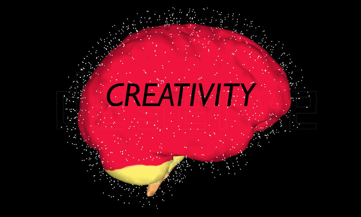 The Secrets To Creativity, Finally Revealed To You