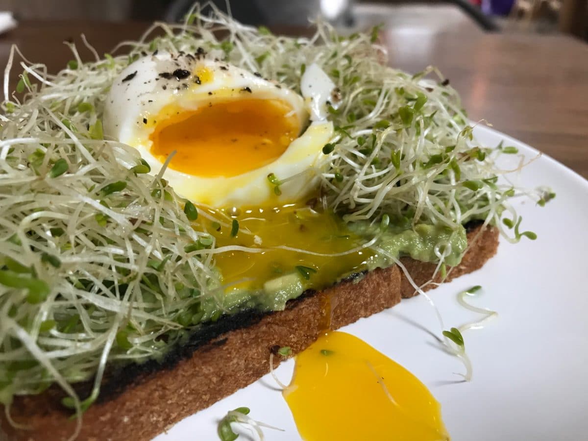 I'm A Millennial Addicted To Avocado Toast And It Ruined My Life