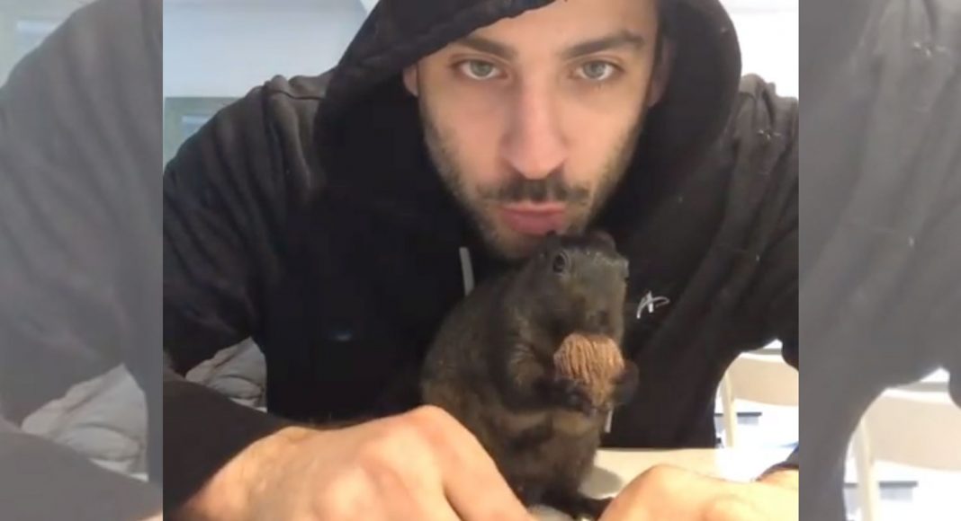 5 Videos Of Cute Animals To Get You Through The Week July 22 The 5-videos-of-cute-animals-to-get-you-through-the-week-july-22-the